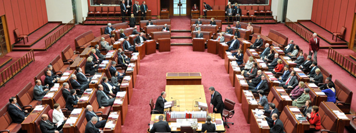 senate-expertise-banner - Insight Strategy